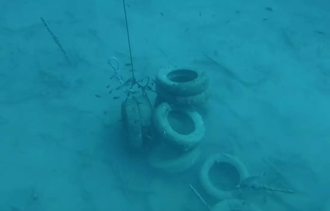 Duisende van die motor bande te samel van die onderkant van die Middellandse See: video