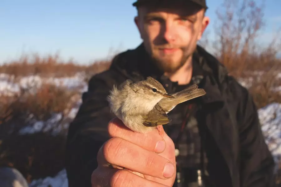Yakutskaya Vesnetka: Long Path Little Birds