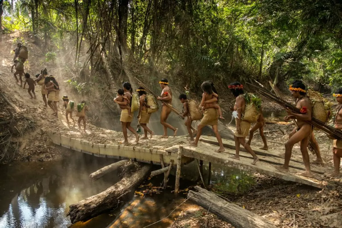جنگل گارڈز: نیکونیکٹر ایمیزون قبائلی (حصہ، برازیل)