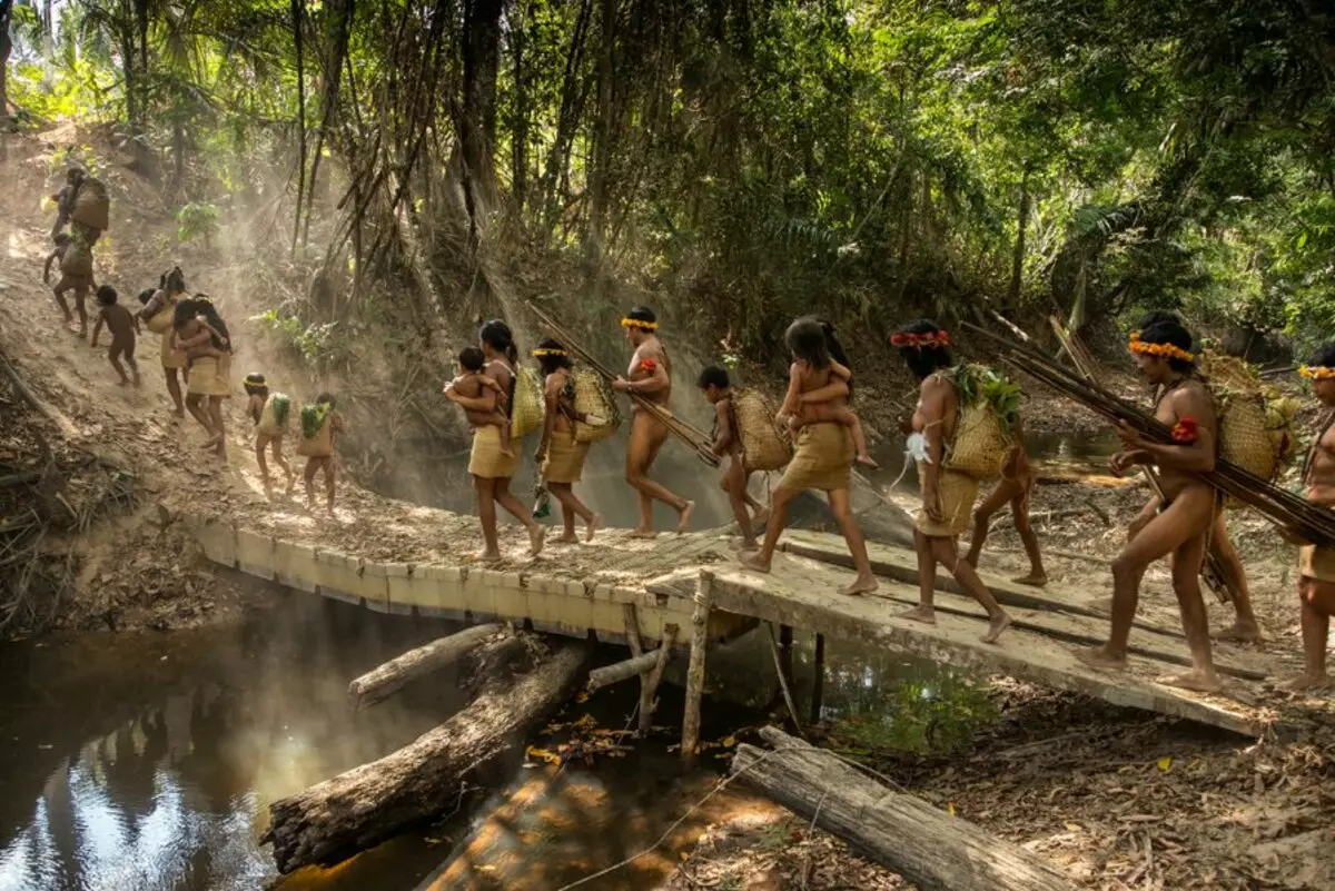 Strażnicy lasu: Nebactable Amazon Plemiona (część II, Peru)