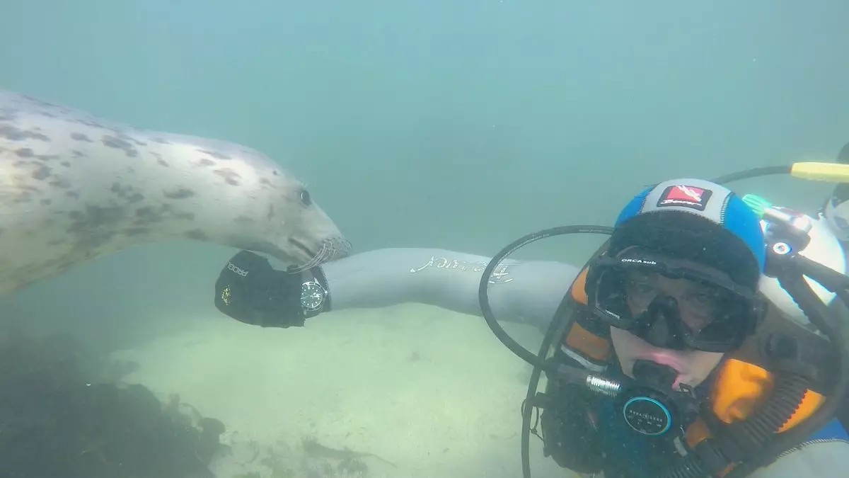 Tyclien se drži za ronjenje sa zagrljajima: video