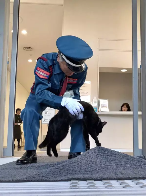 "¡No pasarás!" El guardia durante dos años no ha permitido que los gatos al museo japonés