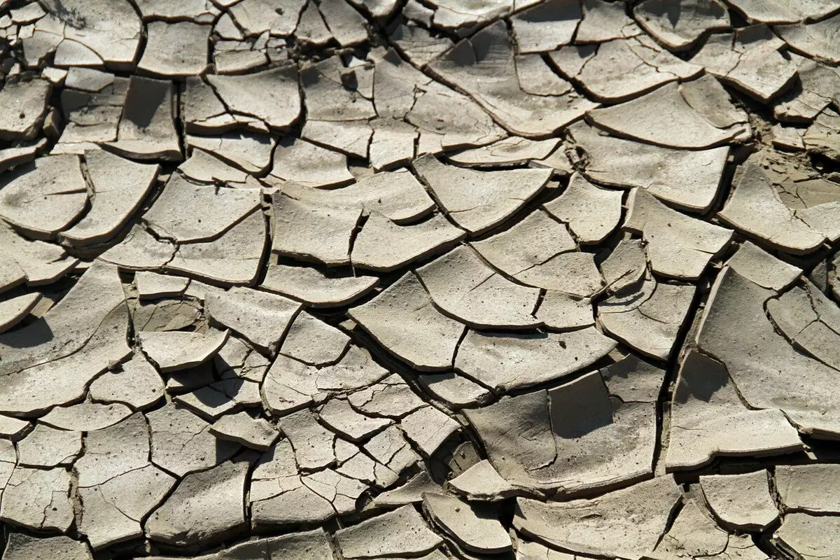 Lluvias anormales destruyeron microbios en el desierto.