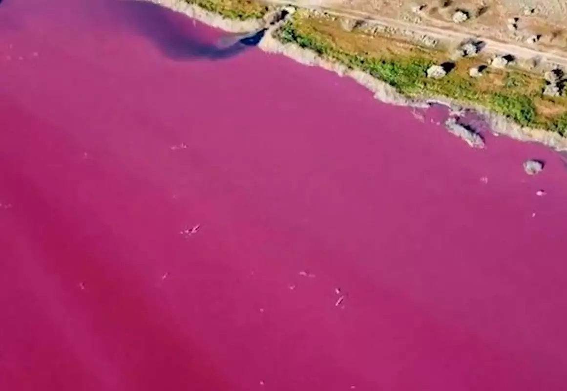 Argentiinan laguna tuli kirkas vaaleanpunainen