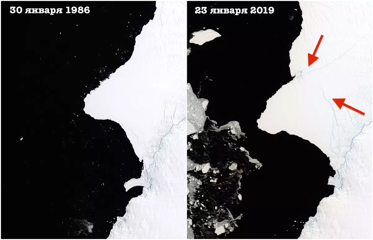 Ysberg grootte met die stad: wat die kraak dreig in die Antarktiese gletser