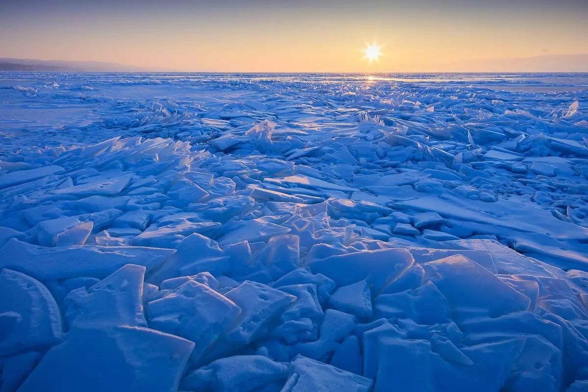 O le fausiaina o se fou laau fou i le baikal e iloa faasolitulafono