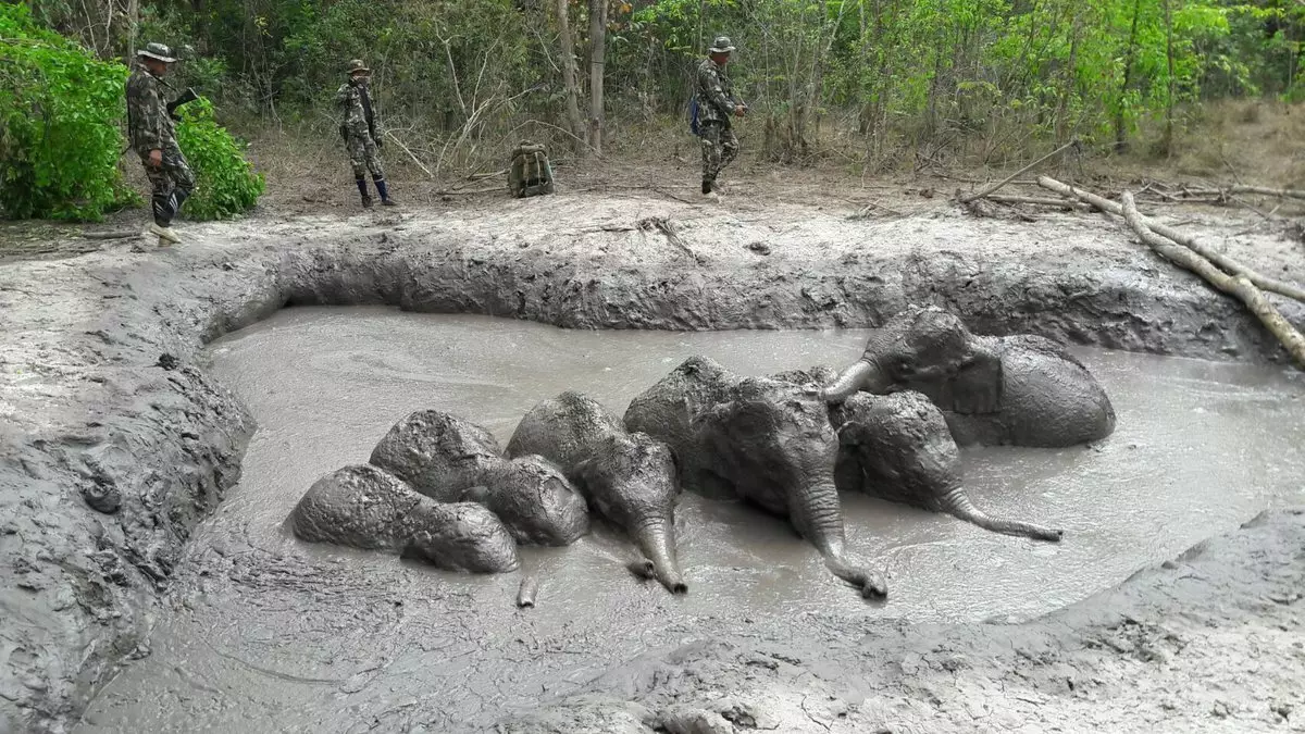 진흙에 6 개의 경이로움이 얼마나 구해 졌는지 : 비디오