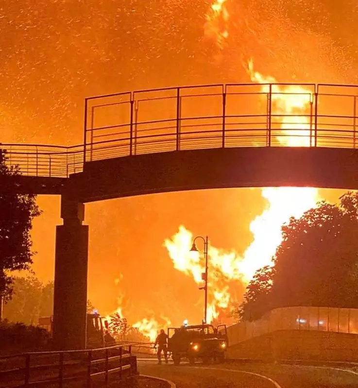 الغابات سردينيا على النار، وقد أعلنت حالة الطوارئ