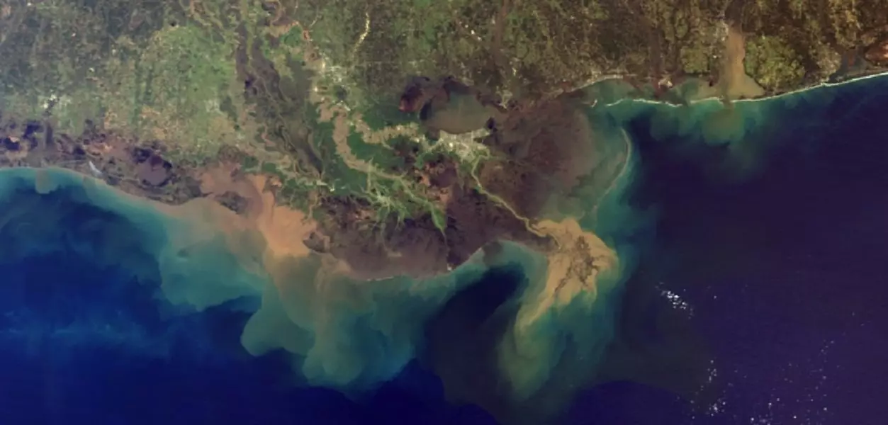 Missisipi_river_delta_and_sedenment_plume.jpg.