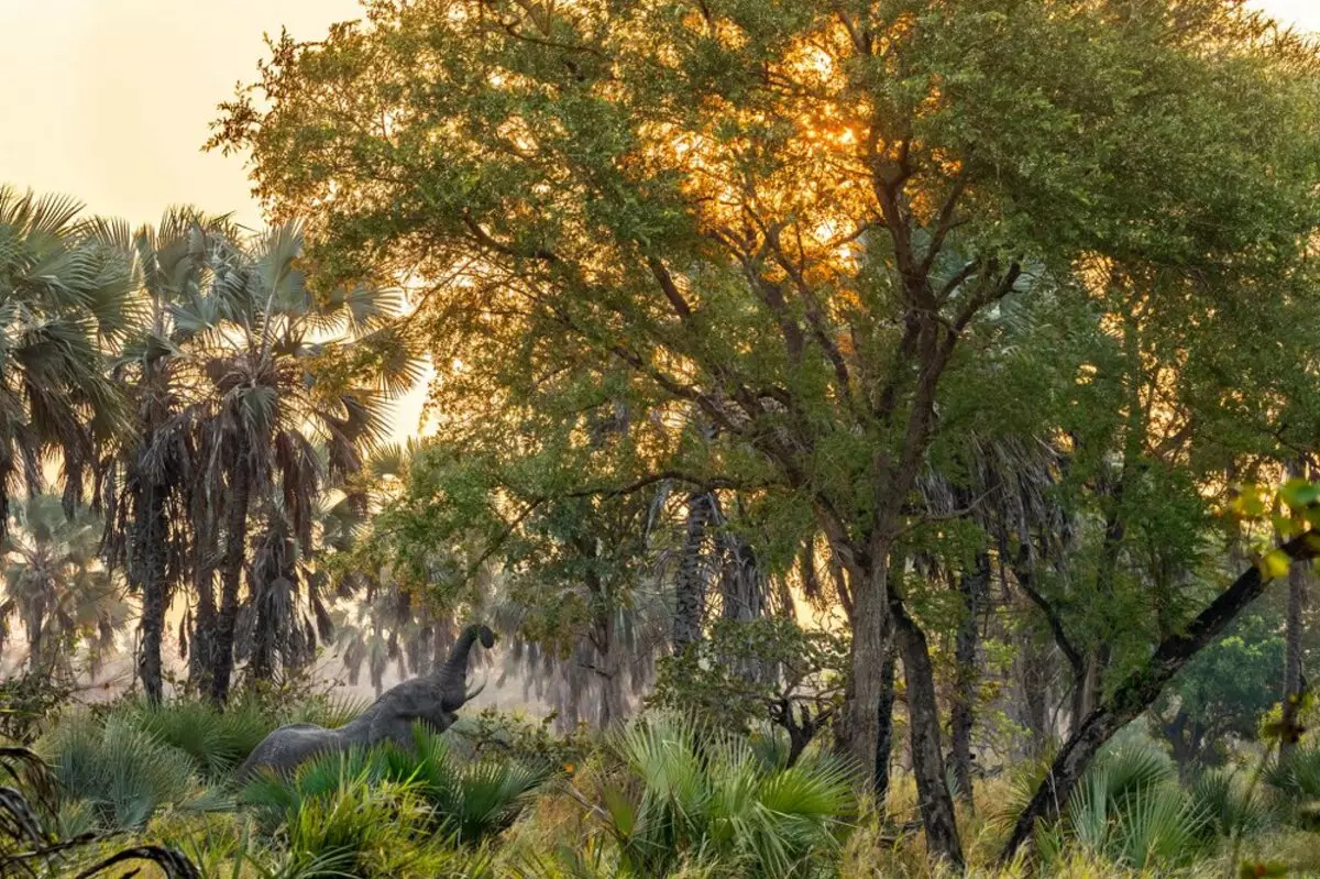 Mozambique-ийн шинэ боломж