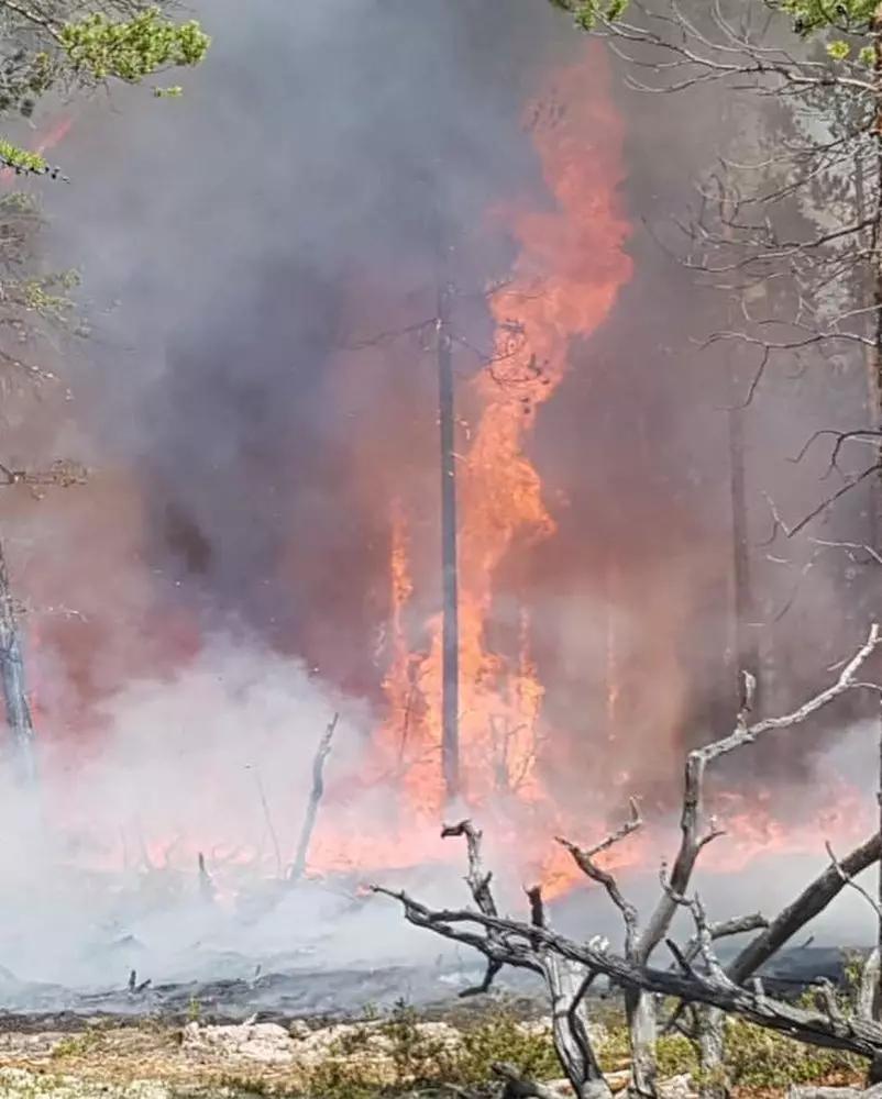 Meer as 'n miljoen hektaar van die bos brand in Siberië en Yakutia