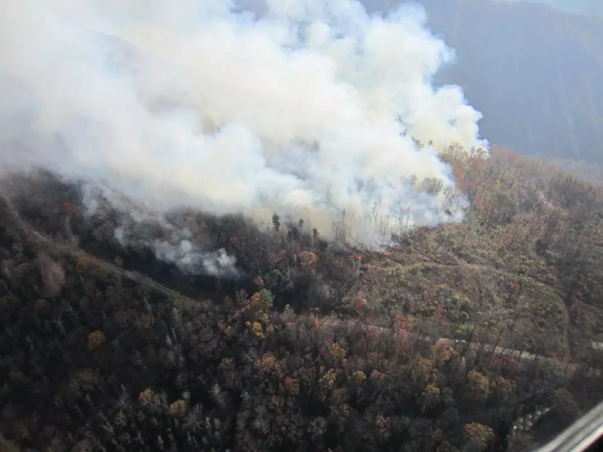 Incêndios na Amazônia