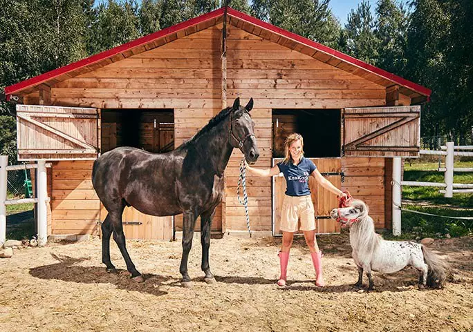 El caballo más pequeño del mundo: vídeo