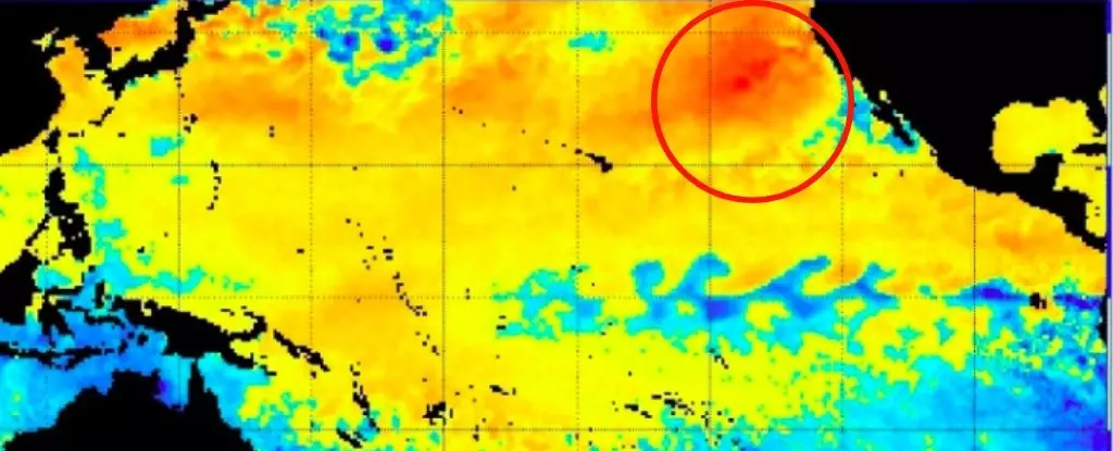 Yn 'e Stille Oseaan foarme in gigantyske waarmte Anomaly. Wat is it gefaarlik?