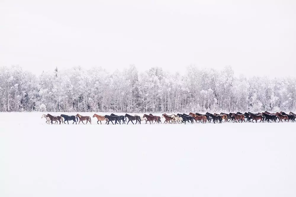 Der Winter in Russland wird wärmer sein als üblich