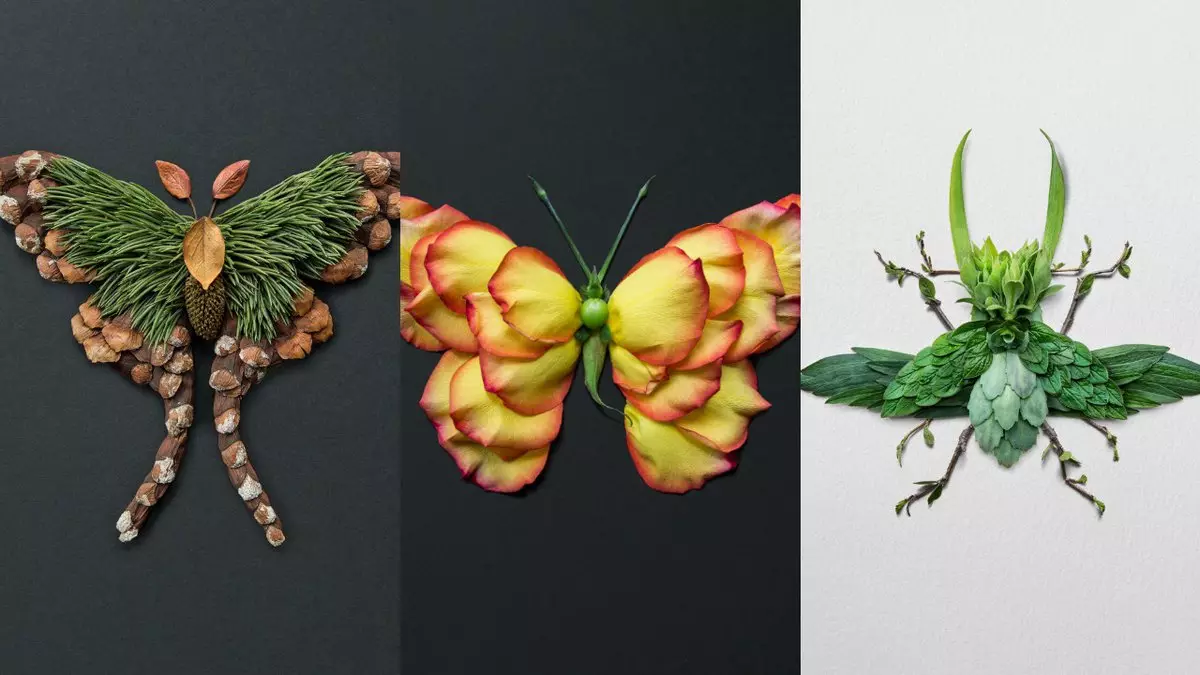 Floral insects: Unusual Photoproject