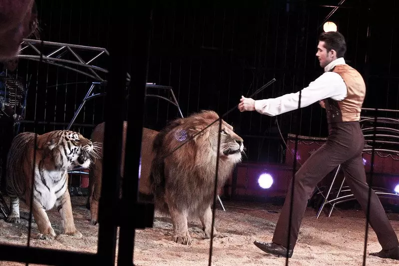 En California, productos prohibidos de pieles y presentaciones de animales en circos.