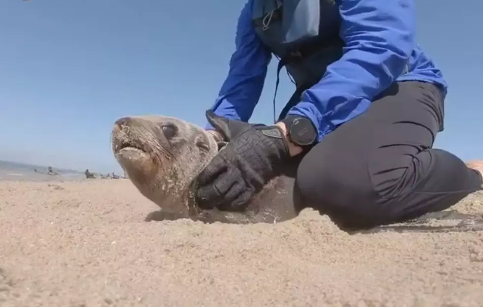 Négatip anu henteu dicabut ku lalaki anu nyalametkeun lalaki: Video