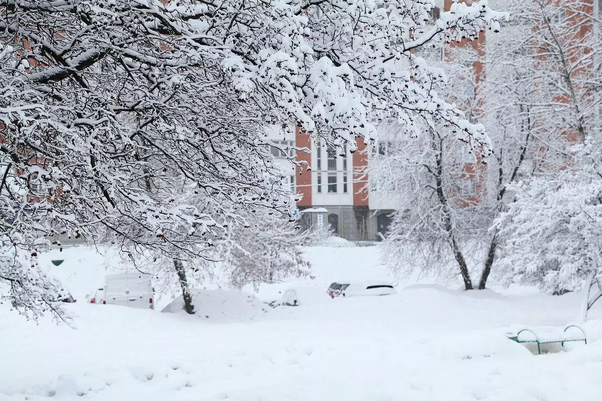 Meteorologen verspriechen Russland "Pink" Wanter