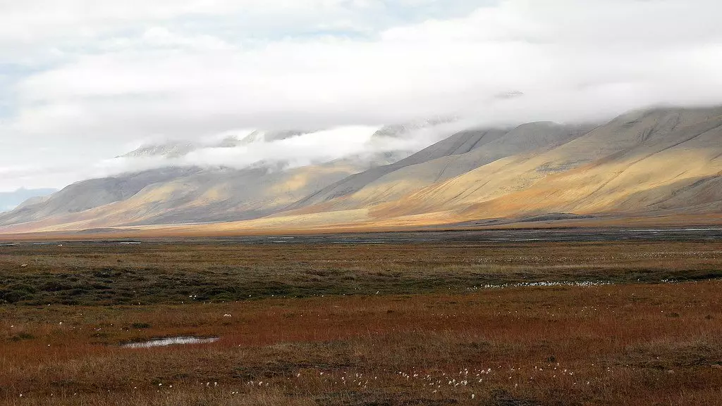 O le a faalauteleina teritori Faatoaga i Siberia ona o suiga o le tau