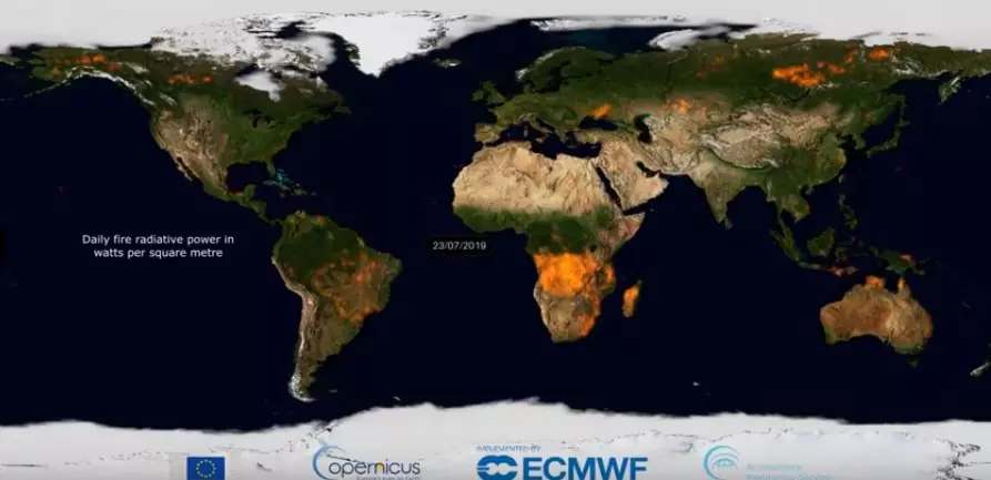 Mondo in fiamme: gli scienziati uniti tutti gli incendi boschivi per l'anno in un video