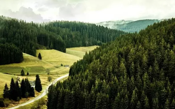 "Ny Rosia dia mpamatsy ny planeta." Ny alaantsika dia mamonjy an'izao tontolo izao avy amin'ny CO2, fa ny zava-drehetra dia afaka miova