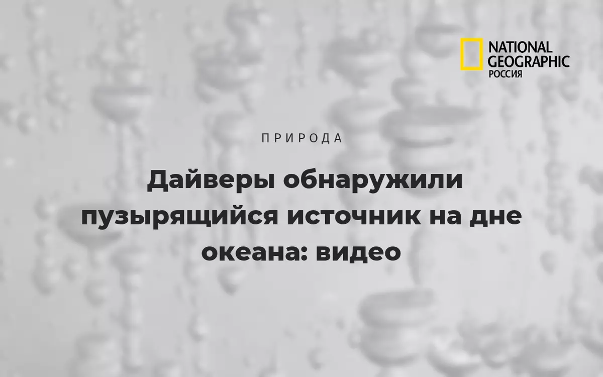 I subacquei hanno scoperto una fonte di bolle nella festa dell'oceano: video