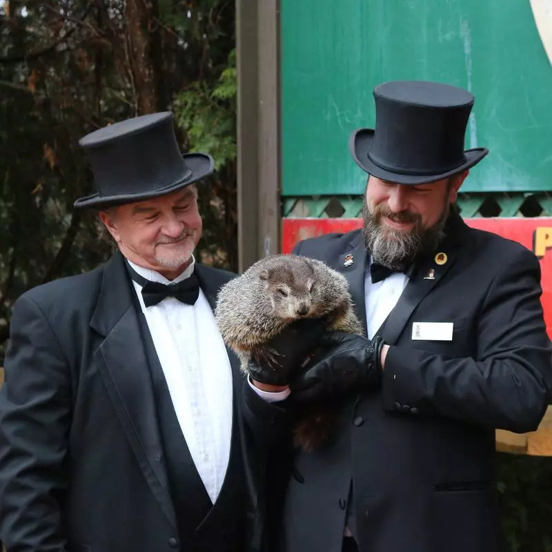 Groundhog Fila prevendo que o tempo pode substituir com um robô