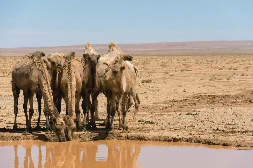 5 השנים הבאות יהפכו לחם ביותר בהיסטוריה של האנושות