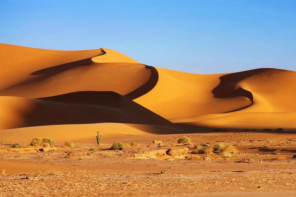 يەرنىڭ تىلى: قۇم چوققىلىرى بىر-بىرى بىلەن ئالاقە قىلىدۇ