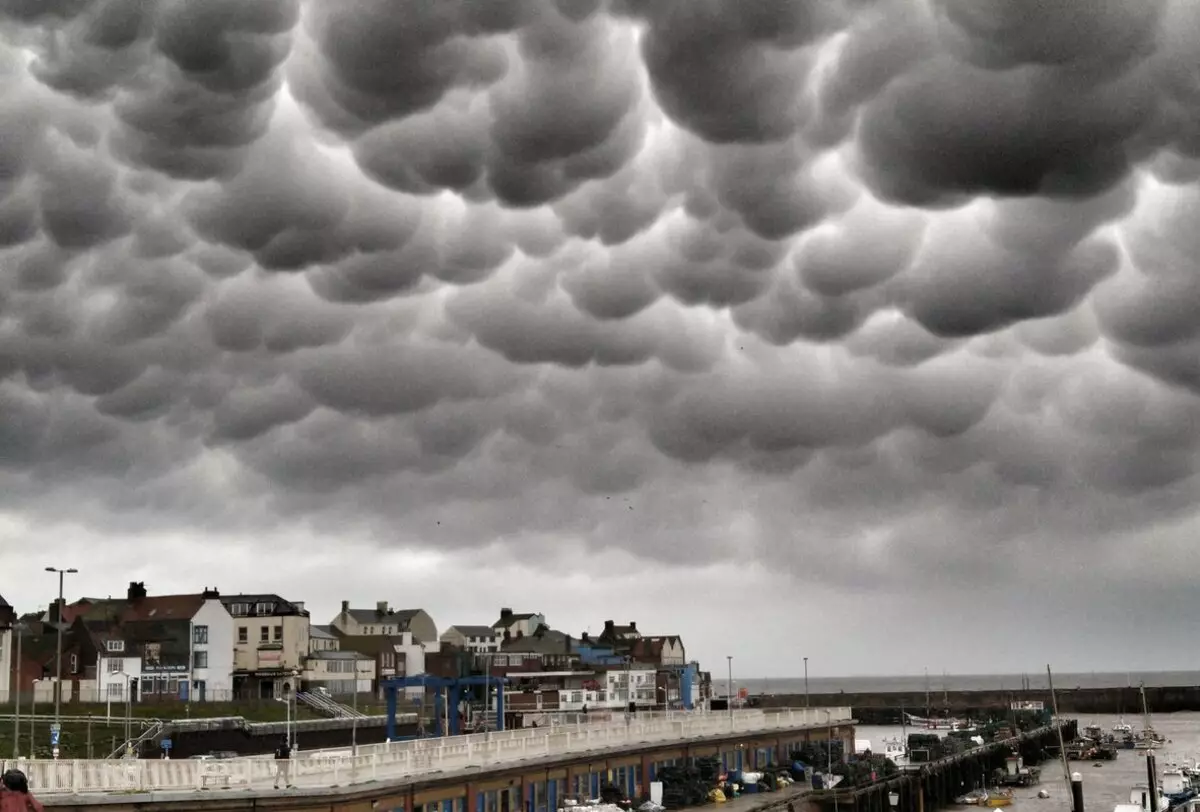 Después de un huracán sobre Inglaterra, se levantaron las nubes de sellado: photo