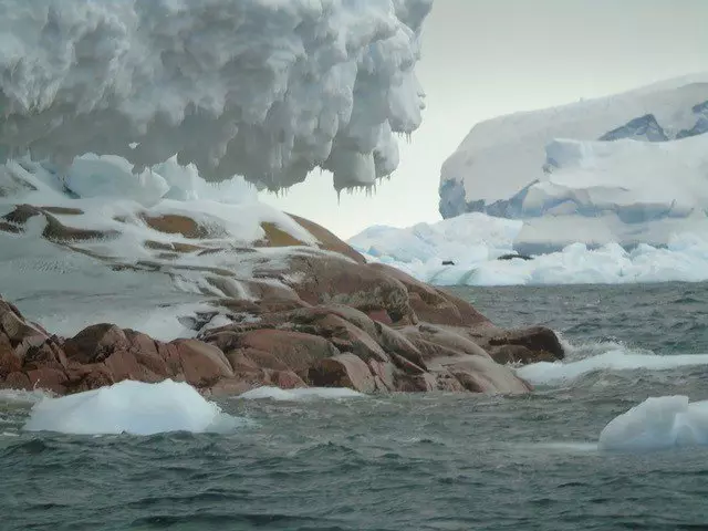 Ynys newydd a geir yn Antarctica