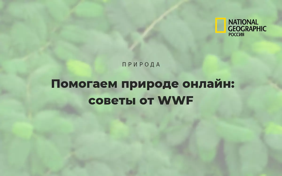 Тусламж Байгаль Онлайн: Дэлхийн байгаль хамгаалах сан зөвлөмжүүд