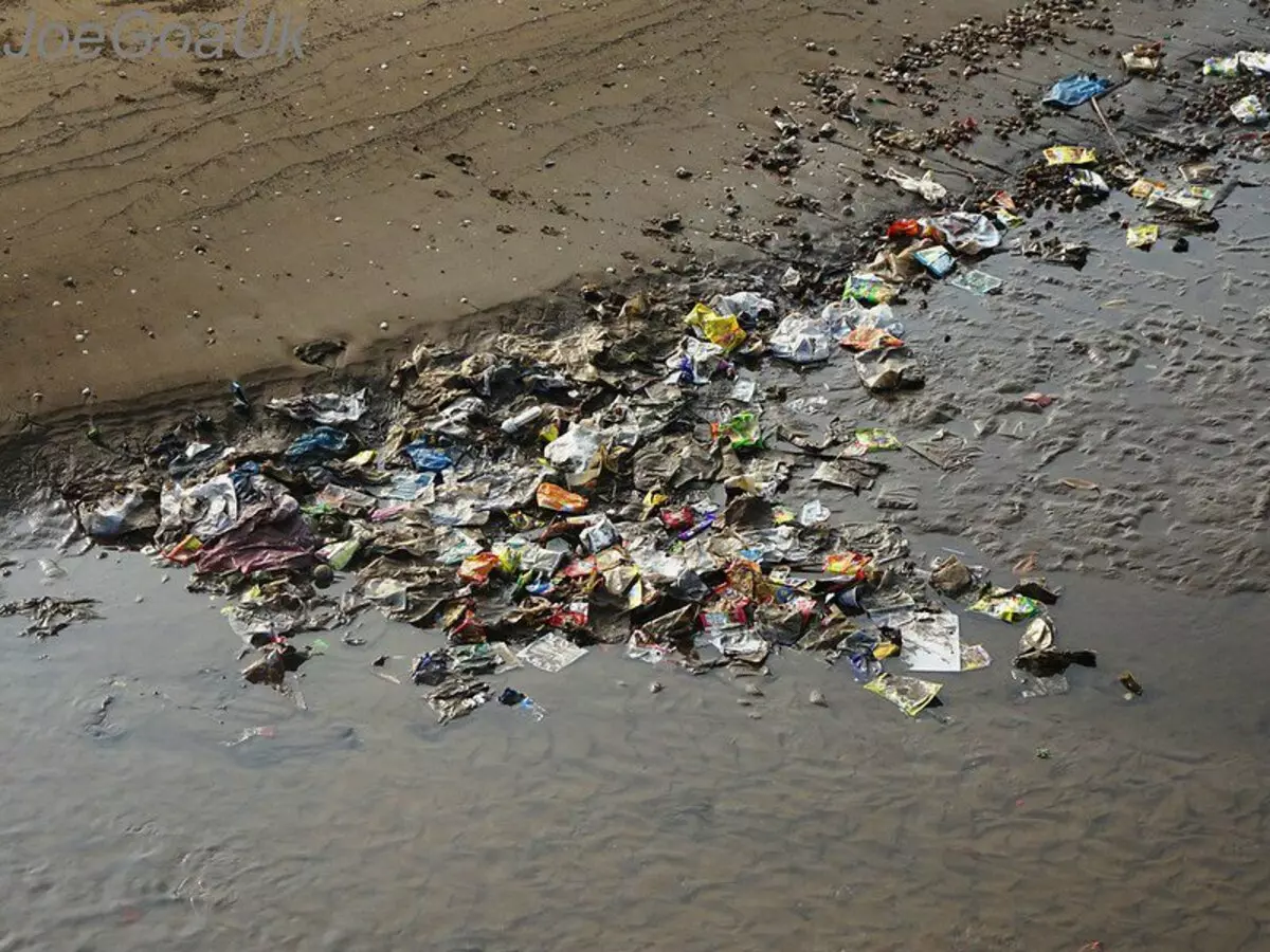 Konbyen plastik ka manje yon bèt?