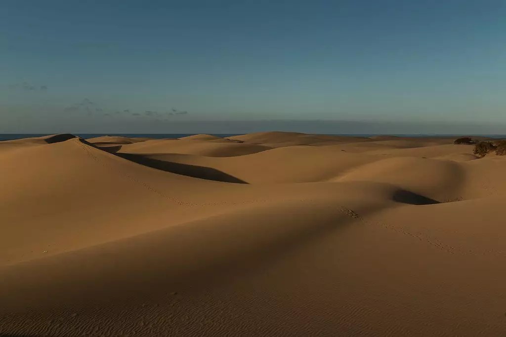 เนินทรายของ Maspalomas ส่งคืนมุมมองดั้งเดิมของพวกเขา