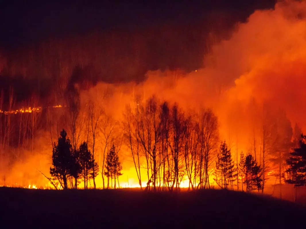 Leuwih ti 40.000 hektar leuweung nu ngaduruk di Rusia