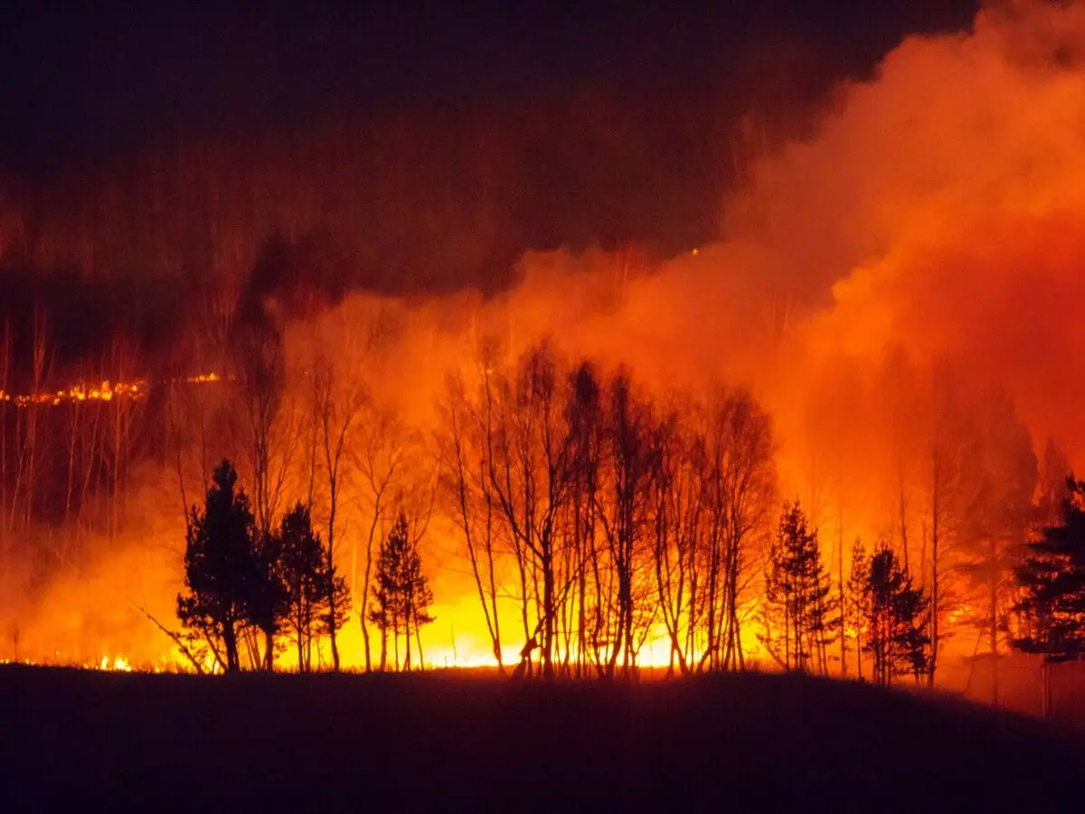 In Russland brennt mehr als 40.000 Hektar Wald