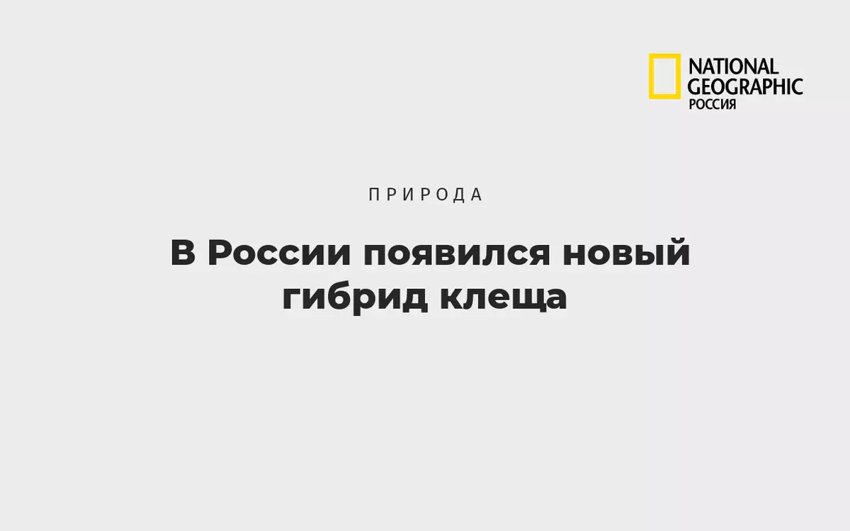 В Русия, нов хибриден кърлеж се появи