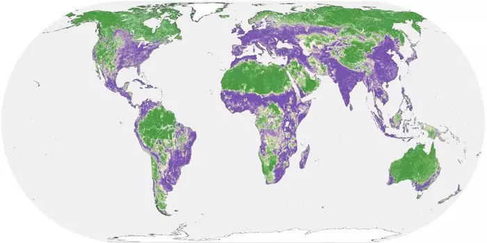 地上の土地の半分はまだ影響を受けない人のままです