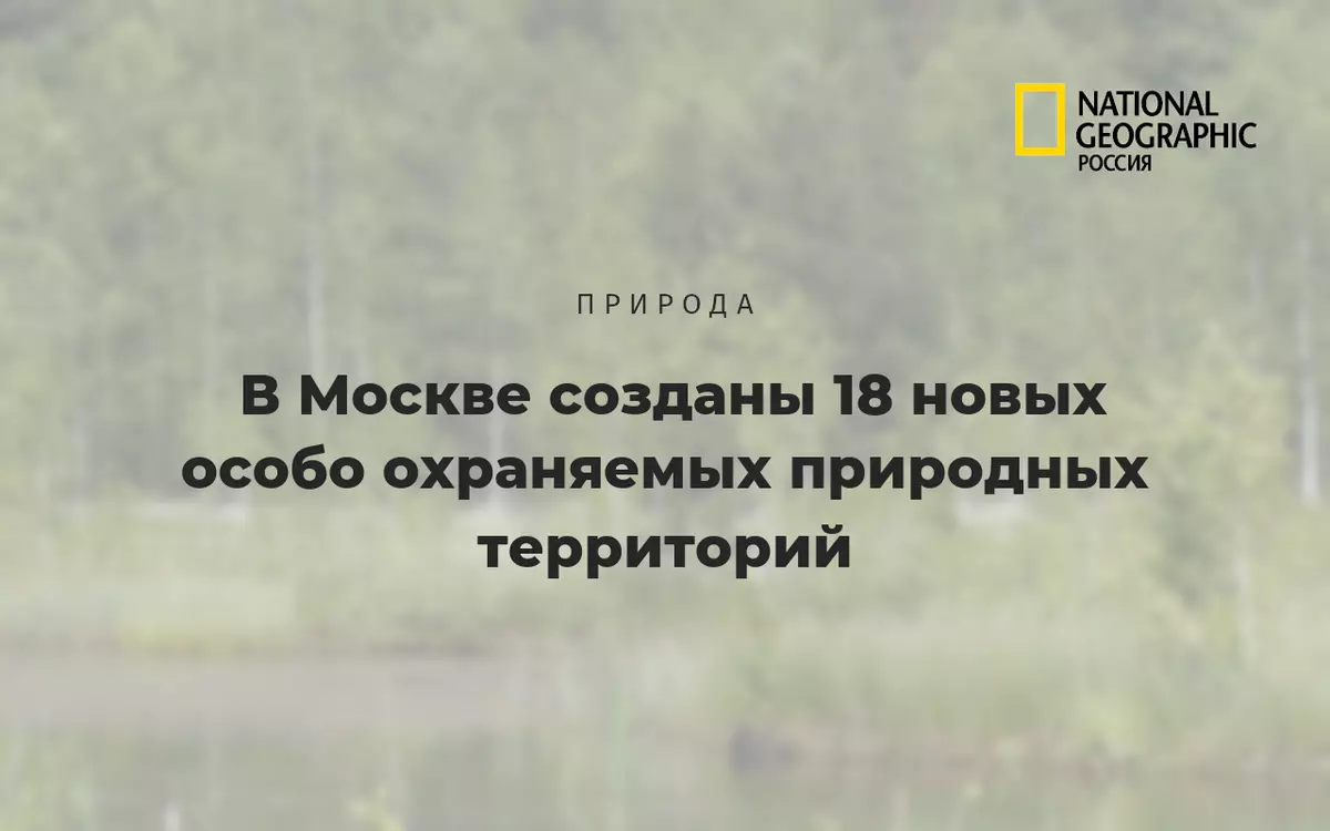 Moscow has created 18 new specially protected natural territories