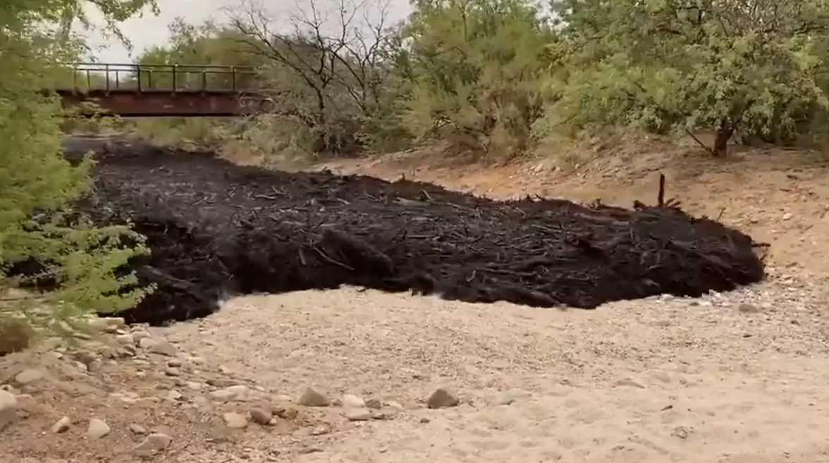 Sungai Sungai Sungai Soot pergi melalui Arizona: Video