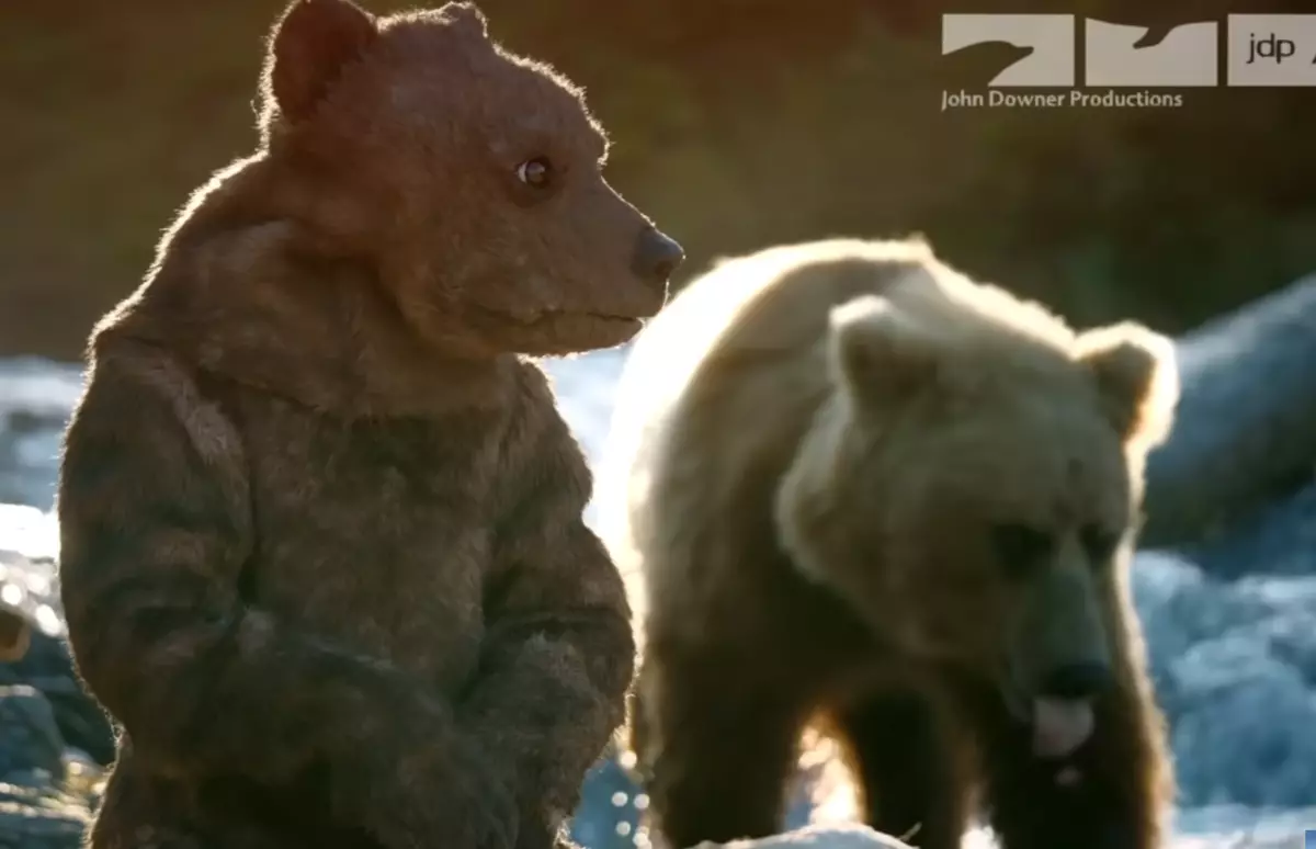 Oso robot foi pesca con oso grizzly: vídeo