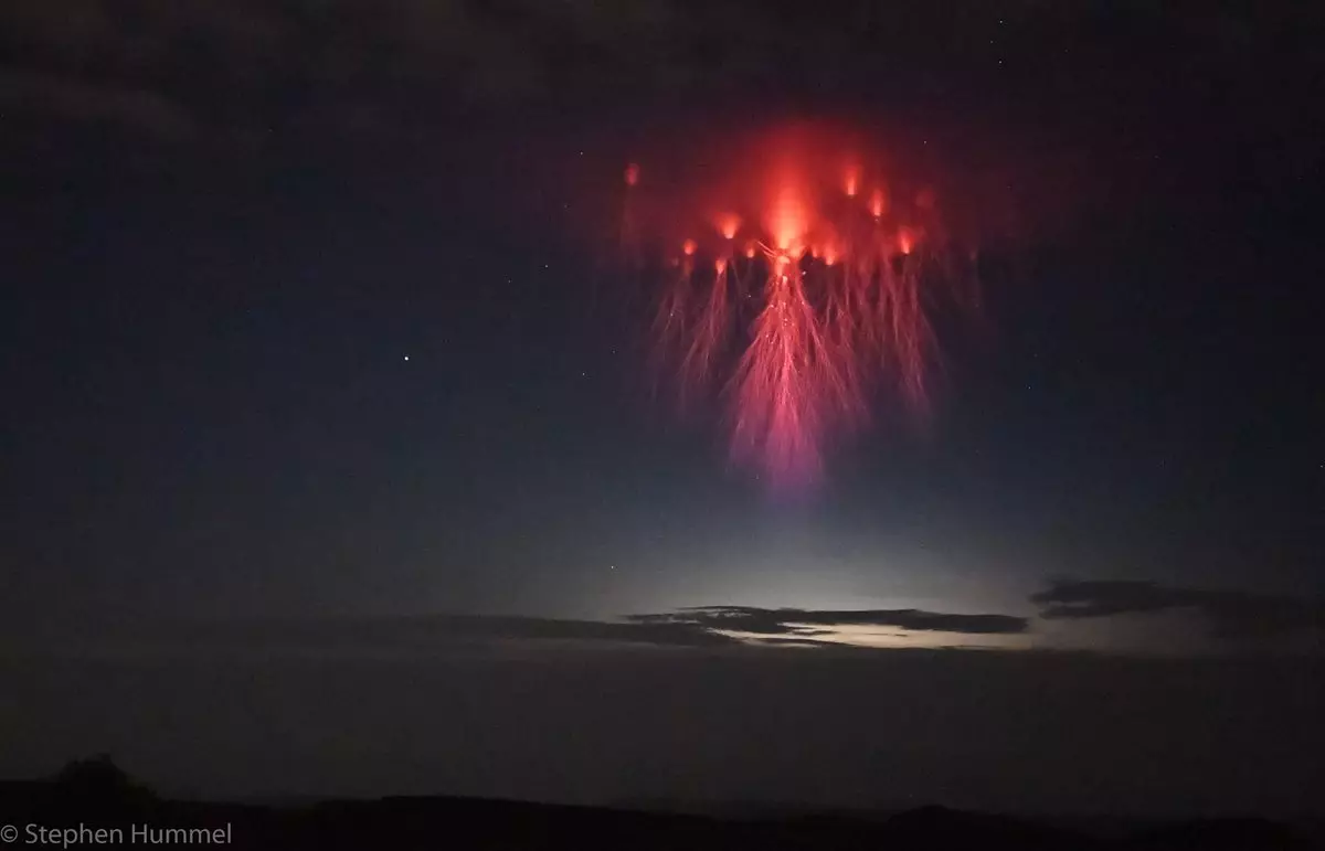 Luten meduz: majik foto nan zèklè sou Texas