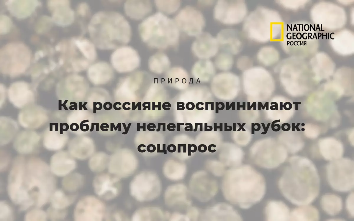 Sida reer Russiadu ay u aragto dhibaatada goynta sharci-darrada ah: hantiwadaagga