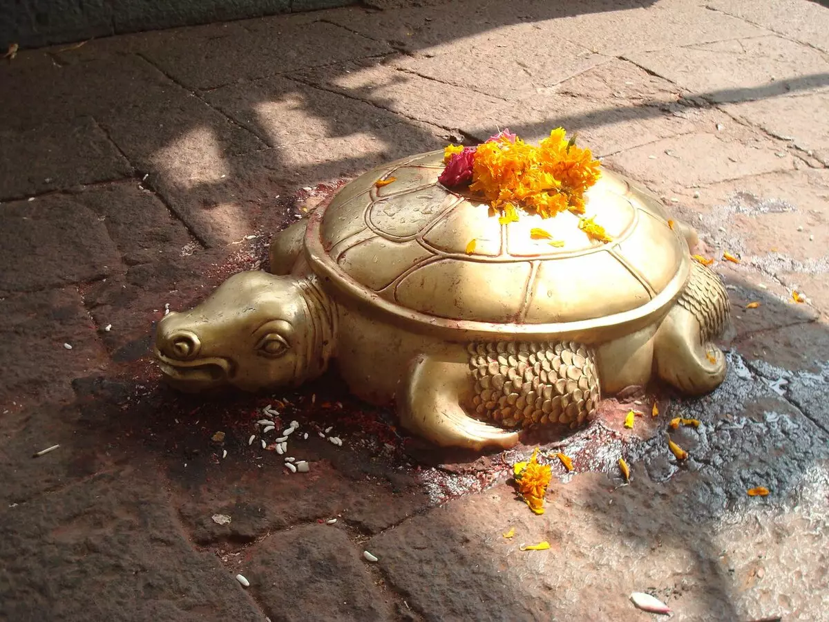 Nepal, onlar qızıl tısbağa tapdı. Bu Vishnu tənzimləməsi ilə müqayisədə