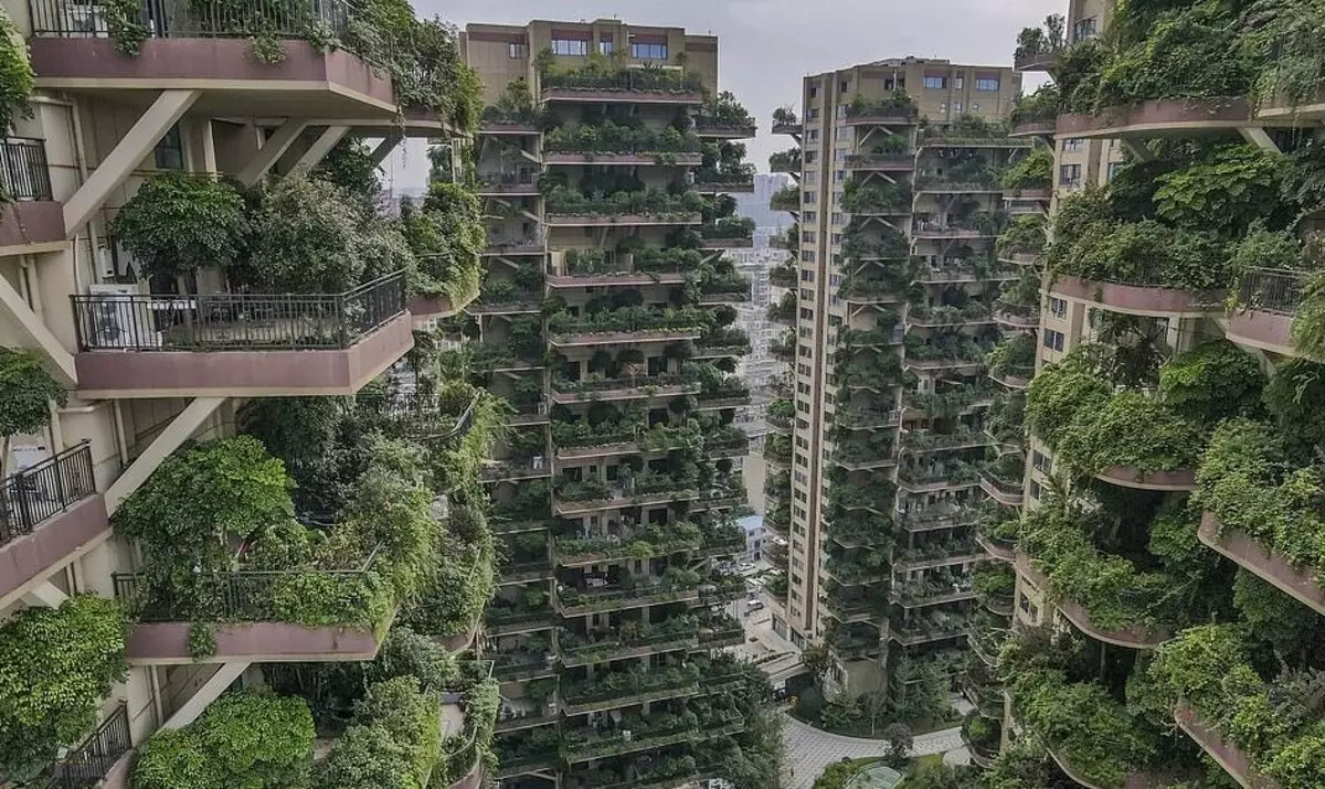 De Komplex vu grénge Skyscrapers a China schéngt e Ëmweltparadise ze sinn. Mosquitoe hunn hien an d'Häll verwandelt