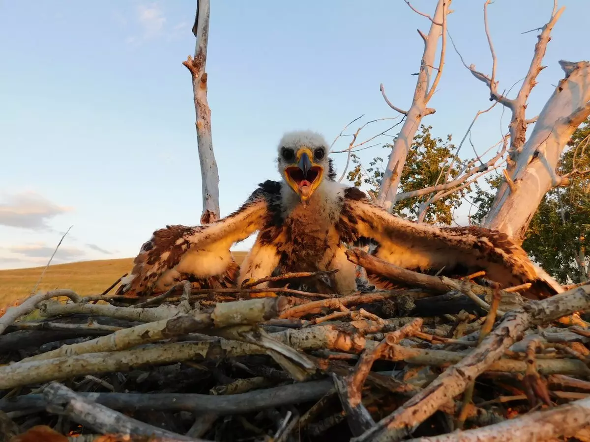 (c) Igor Karjakin_teen Stepnyak บนรังบน Earth.jpg