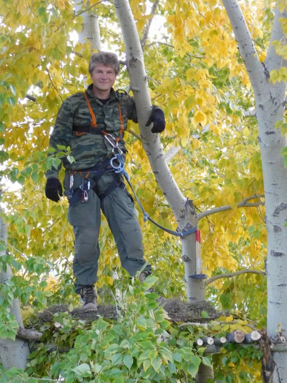 в) АлександрМеоерс_ифорхария Nest.jpg сайтында