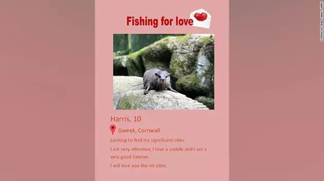201001135514-05-Lonely-Otter-Finds-Love-Trnd-Exlarge-169.jpg