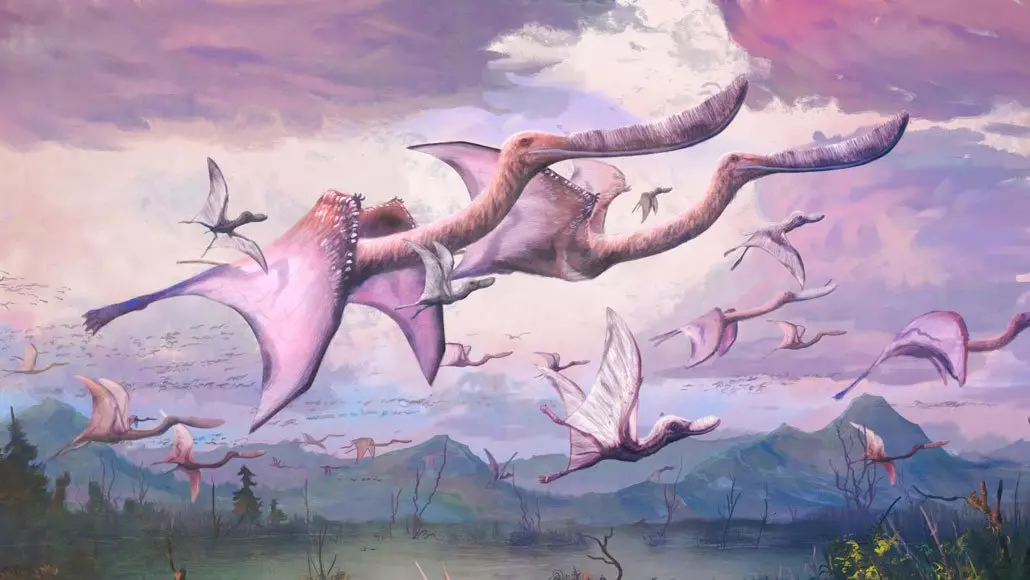 Птерозаврите да лети веднага след излюпването